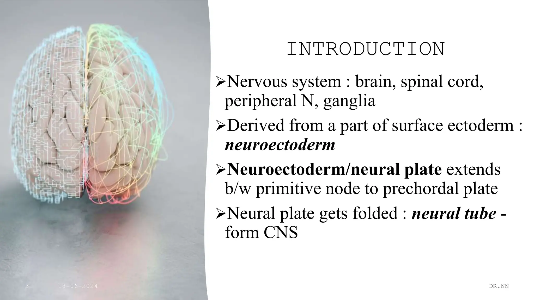 DEVELOPMENT OF NEURAL TUBE & SPINAL CORD.pptx