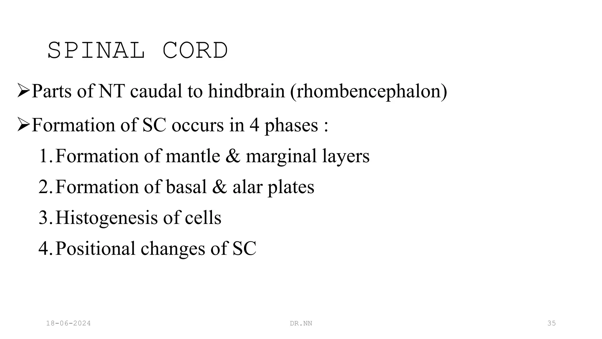 DEVELOPMENT OF NEURAL TUBE & SPINAL CORD.pptx