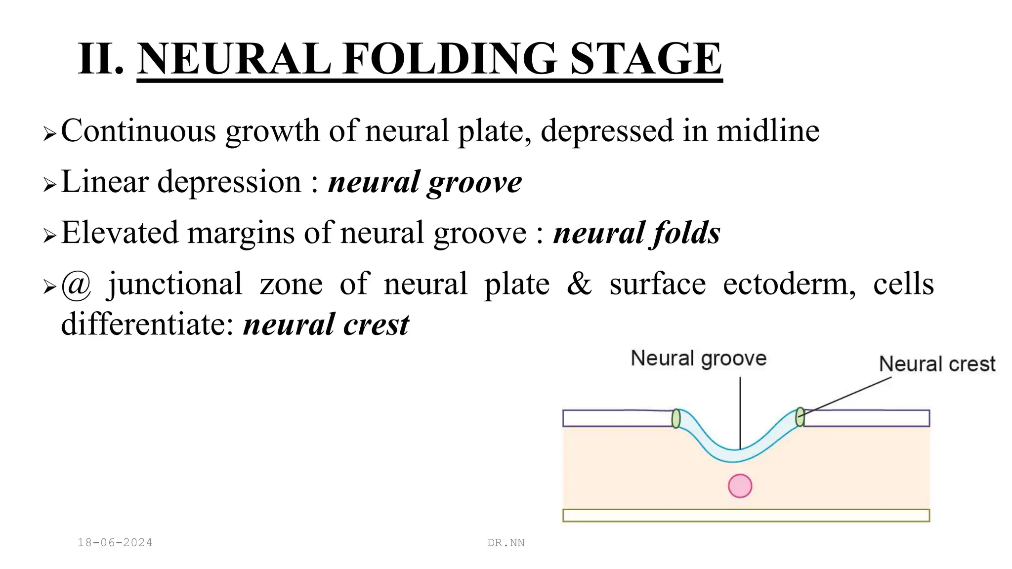 DEVELOPMENT OF NEURAL TUBE & SPINAL CORD.pptx