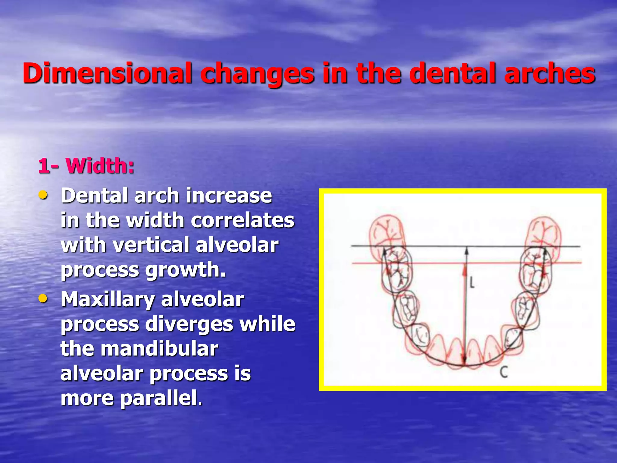 Development of normal dentition and occlusion | PPT