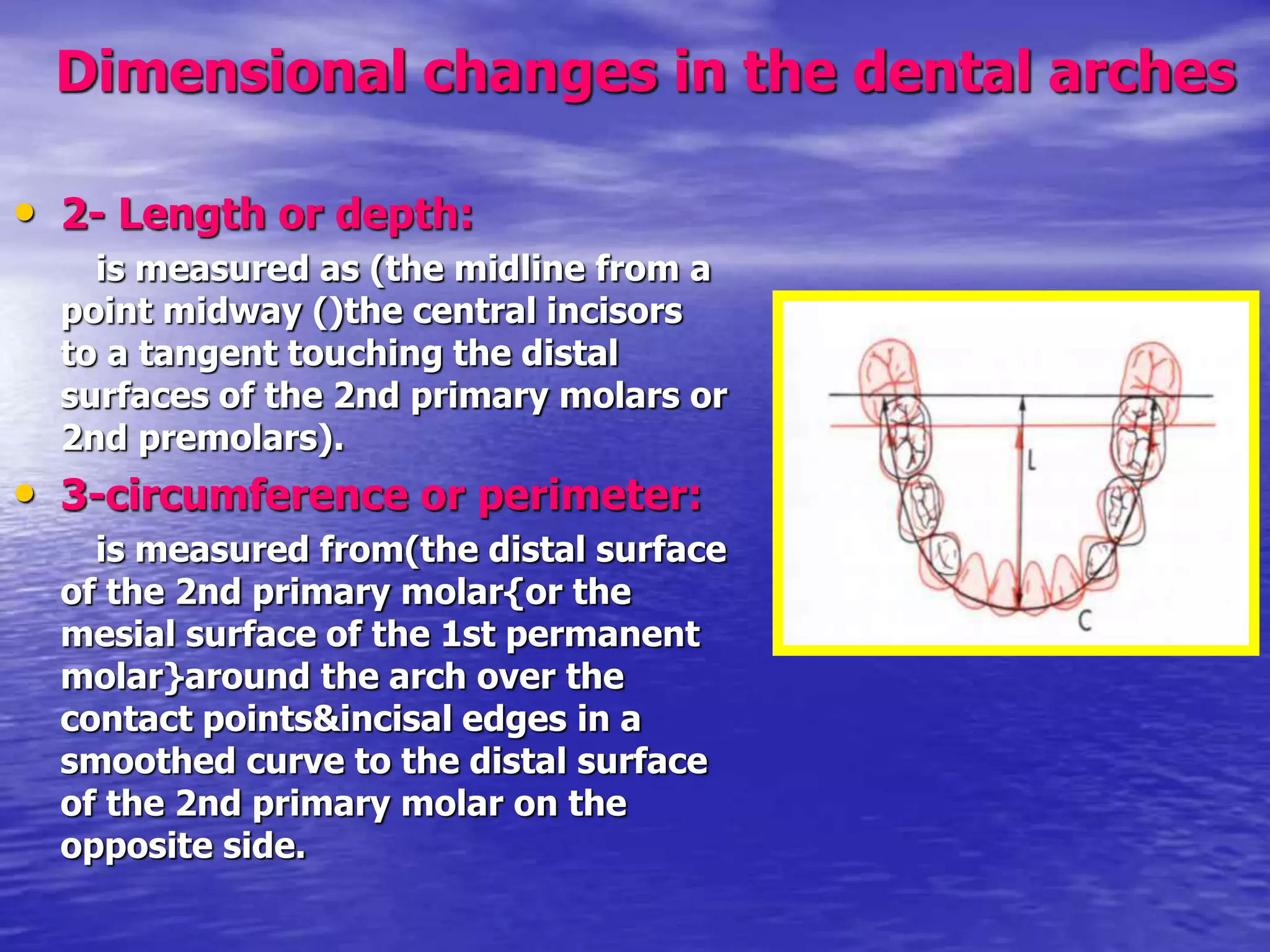 Development of normal dentition and occlusion | PPT