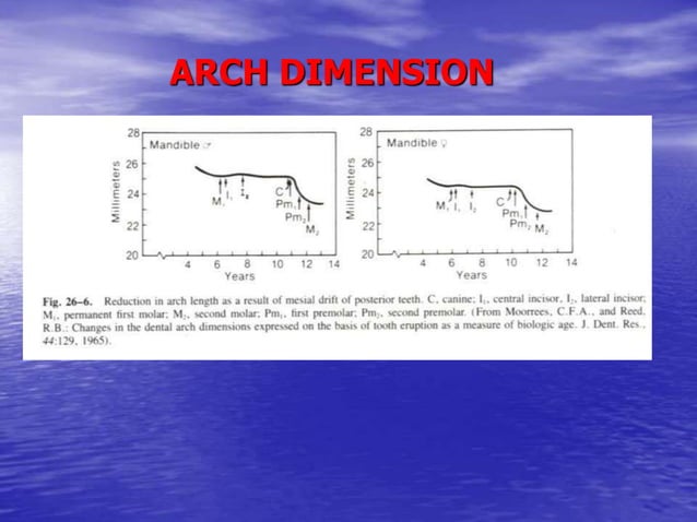 Development of normal dentition and occlusion | PPT