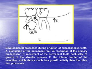 Development of normal dentition and occlusion | PPT