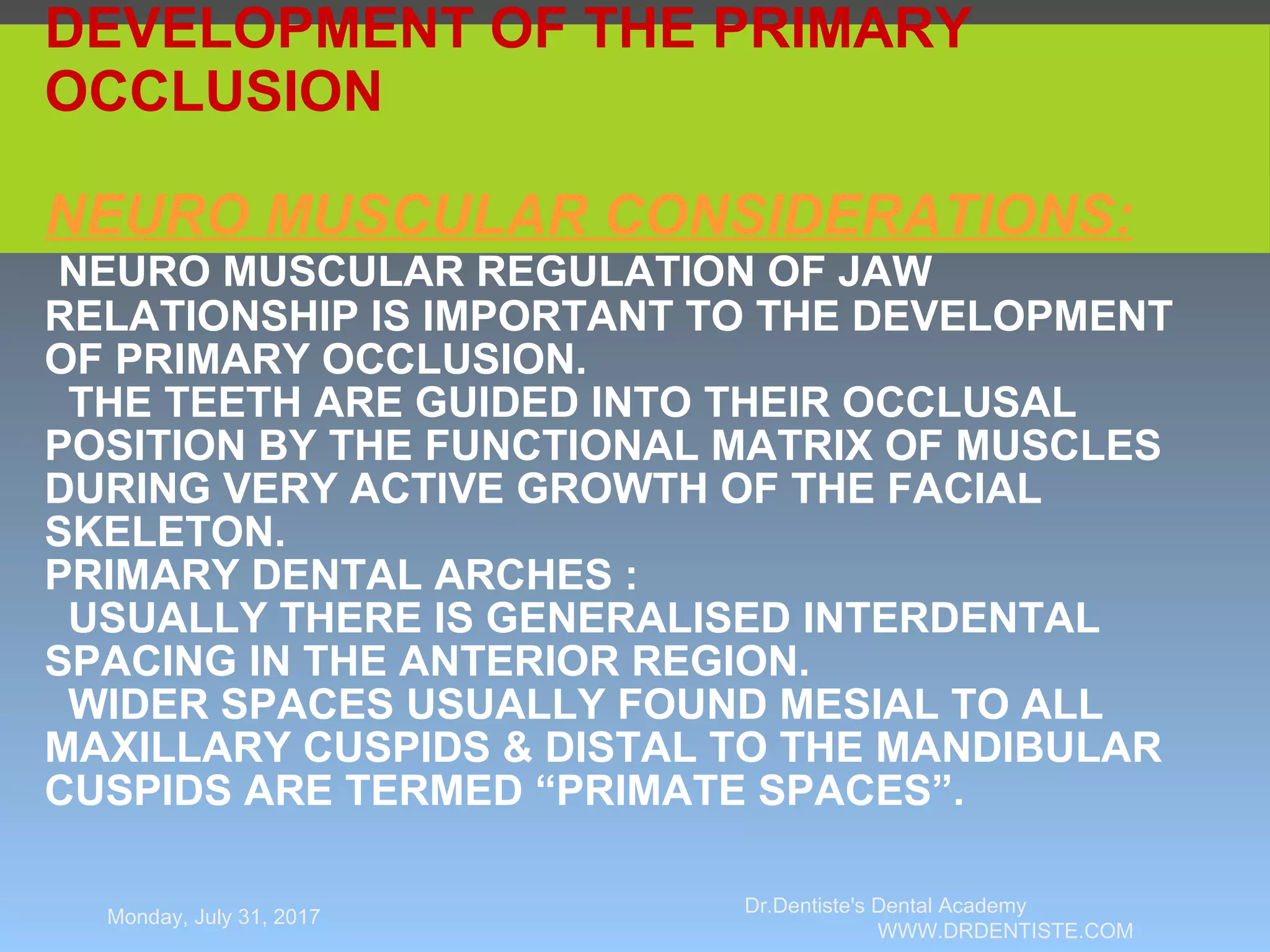 DEVELOPMENT OF NORMAL OCCLUSION | PPT