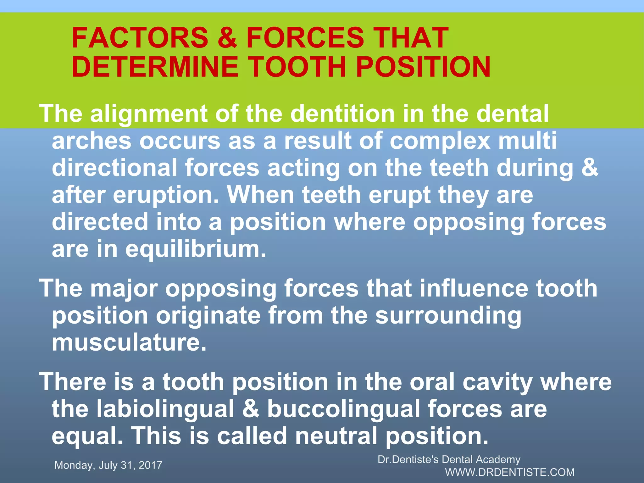 DEVELOPMENT OF NORMAL OCCLUSION | PPT