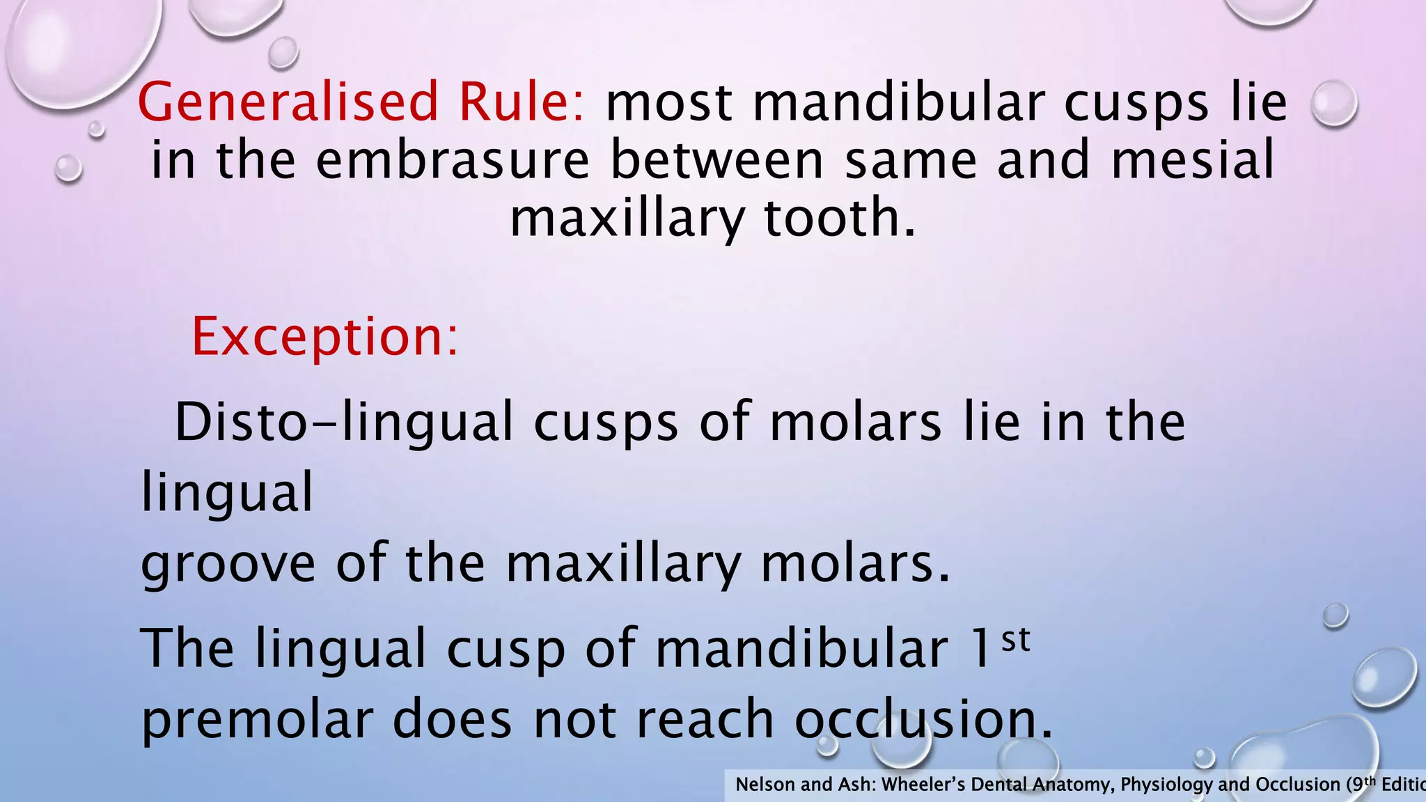 Development of normal occlusion | PPTX