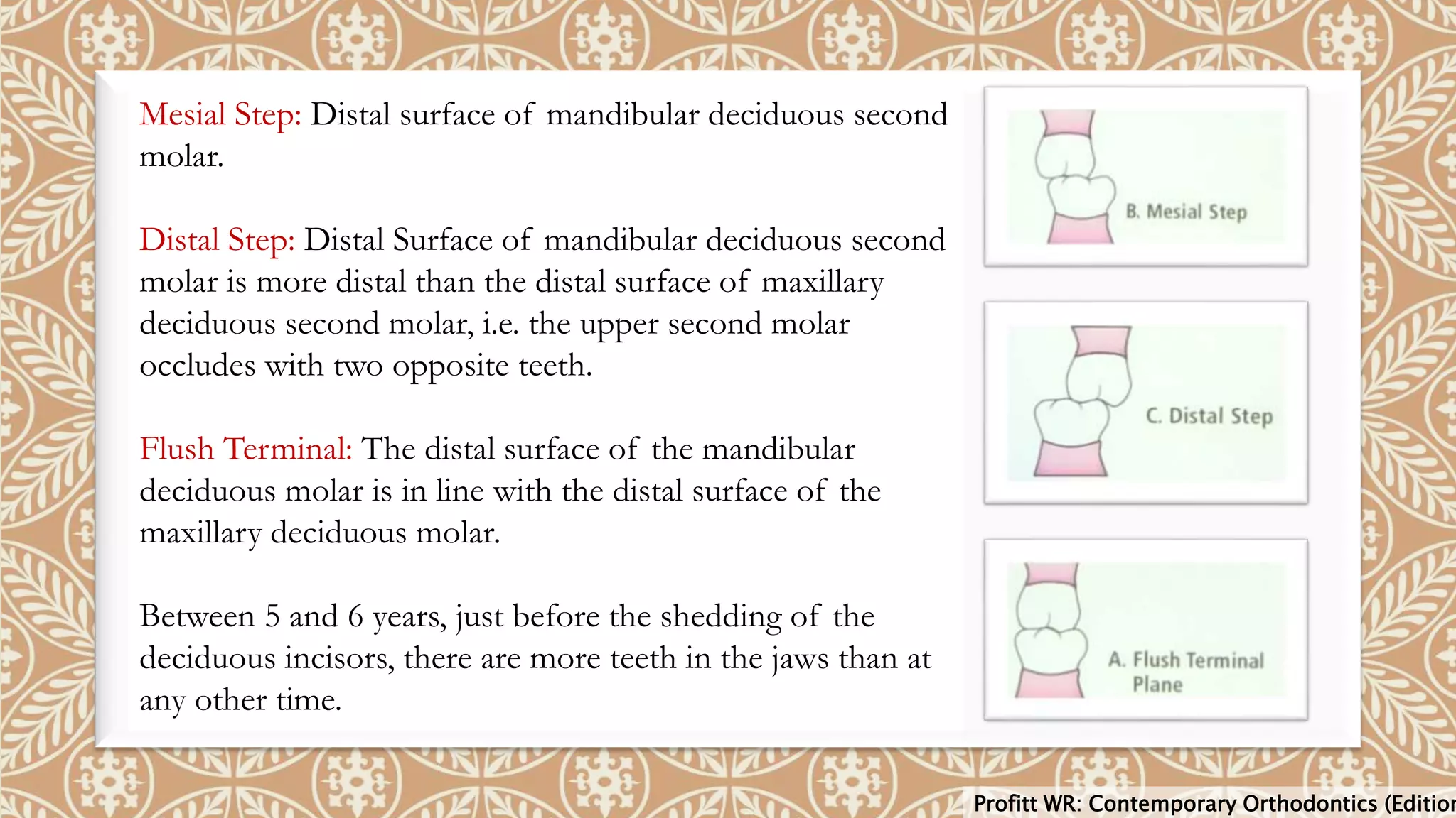 Development of normal occlusion | PPTX
