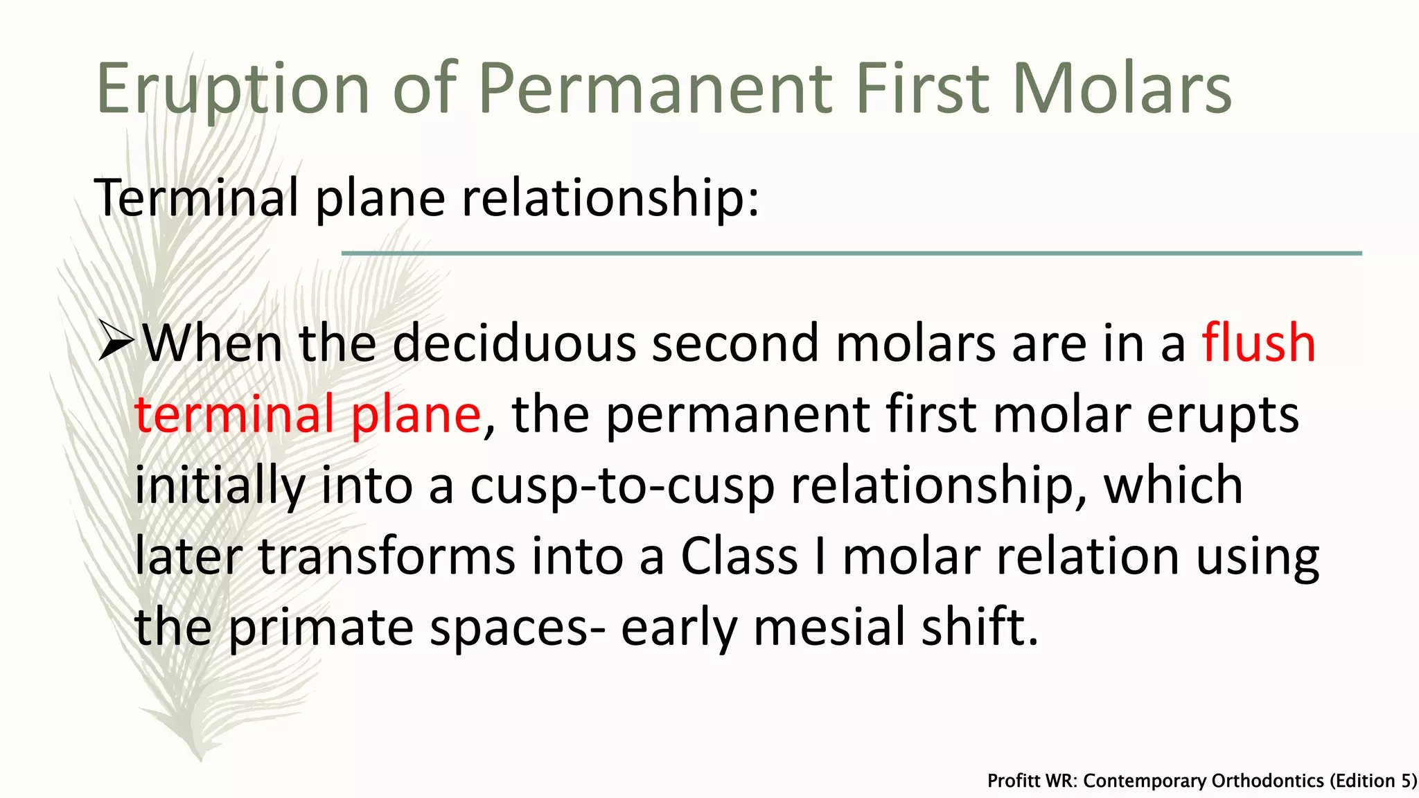 Development of normal occlusion | PPTX