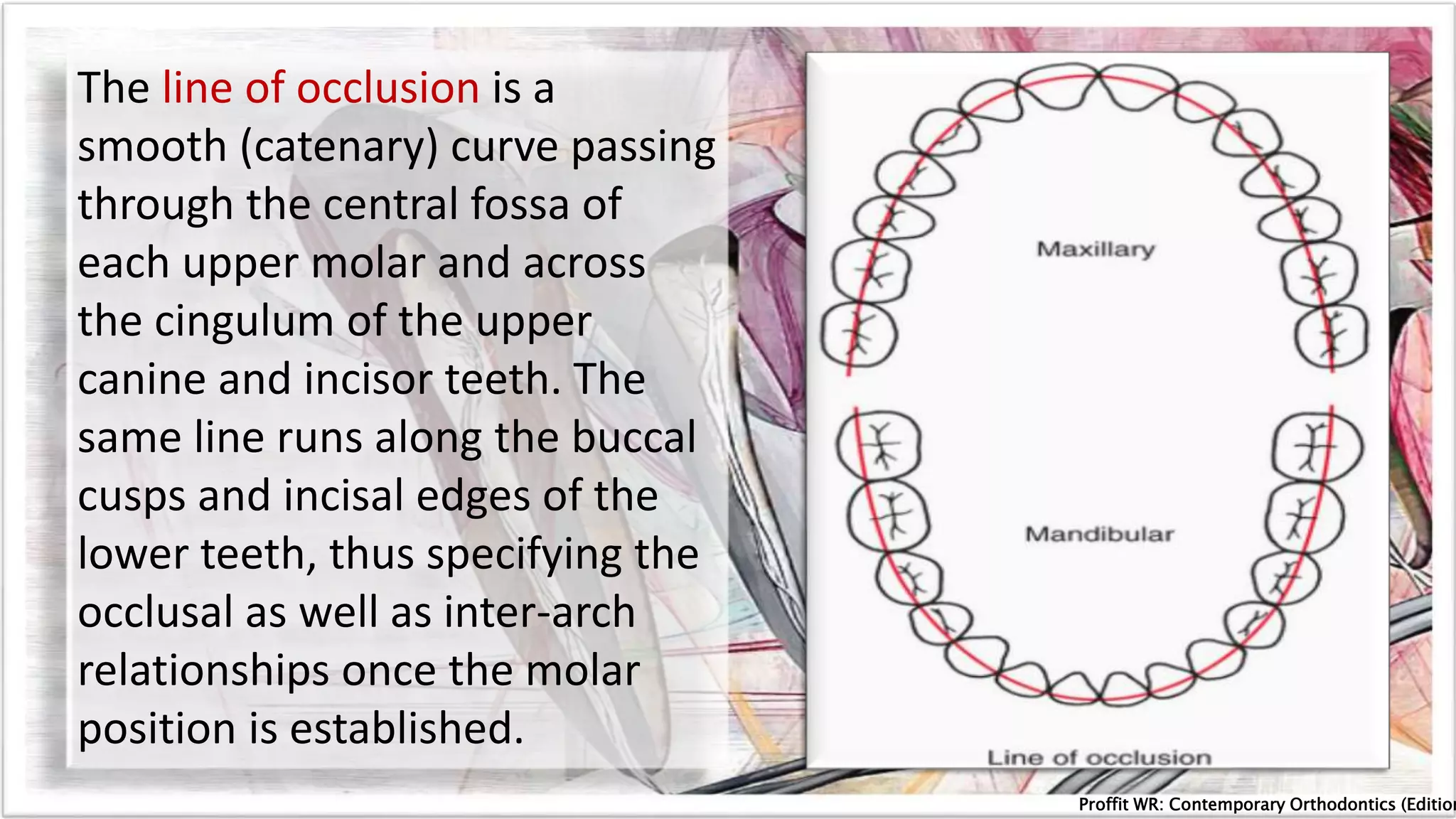 Development of normal occlusion | PPTX