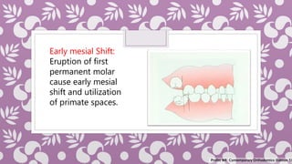 Development of normal occlusion | PPTX