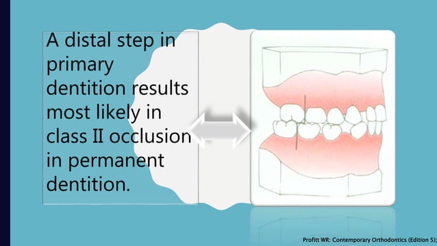 Development of normal occlusion | PPTX