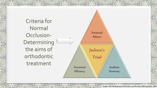 Development of normal occlusion | PPTX