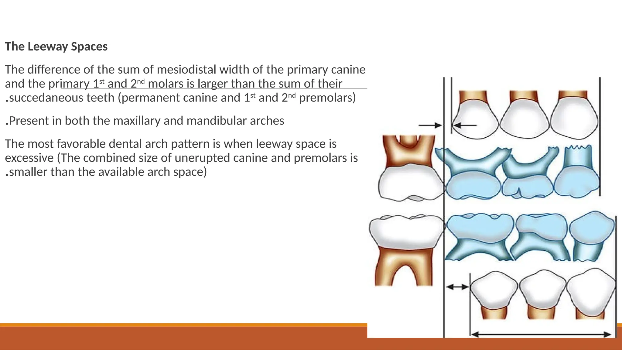 development of normal dental occlusion.pptx