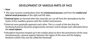Embryology- Development of Nose in brief .pptx