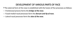 Embryology- Development of Nose in brief .pptx