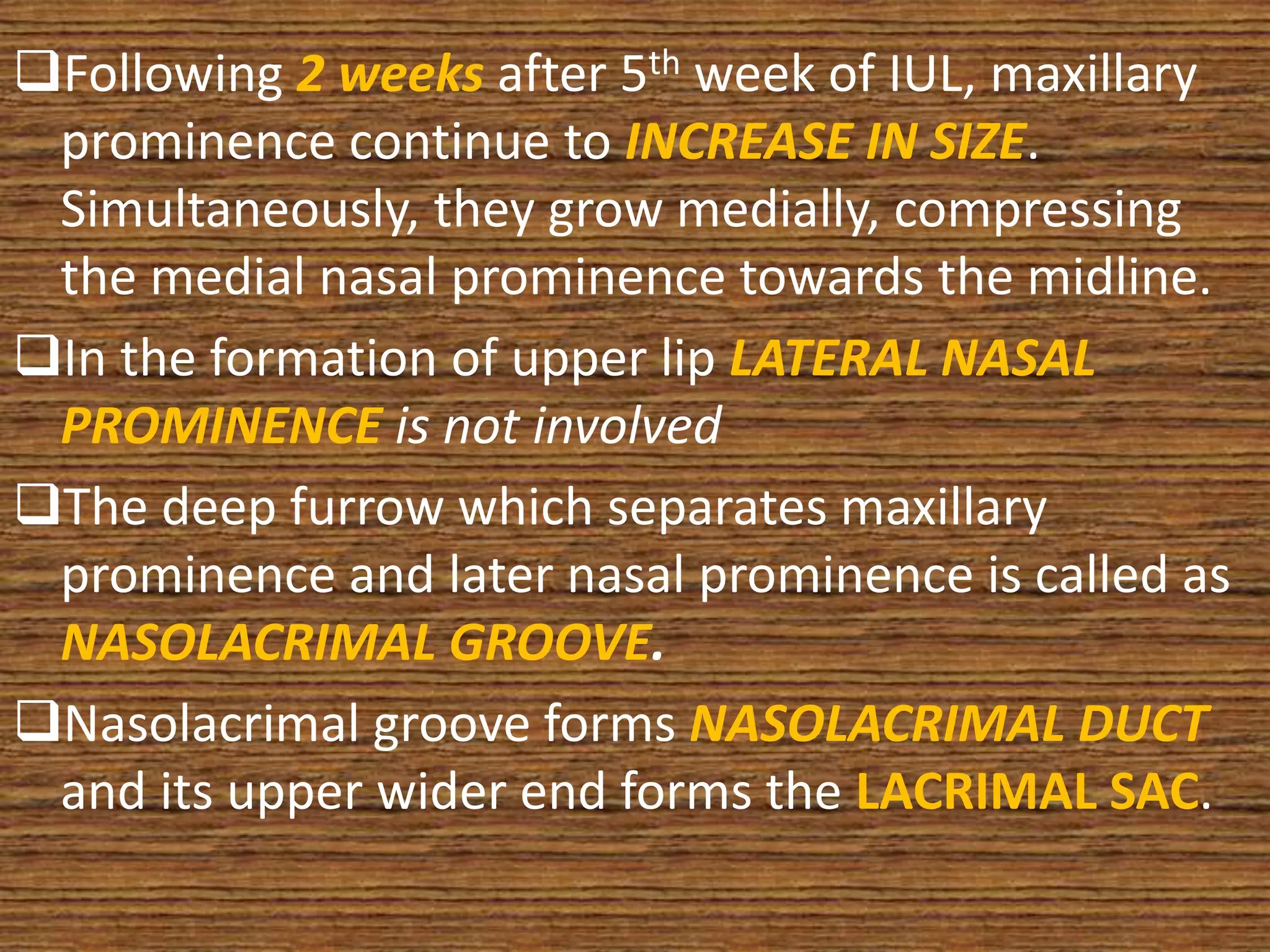 Development of nose by av sharma | PPTX