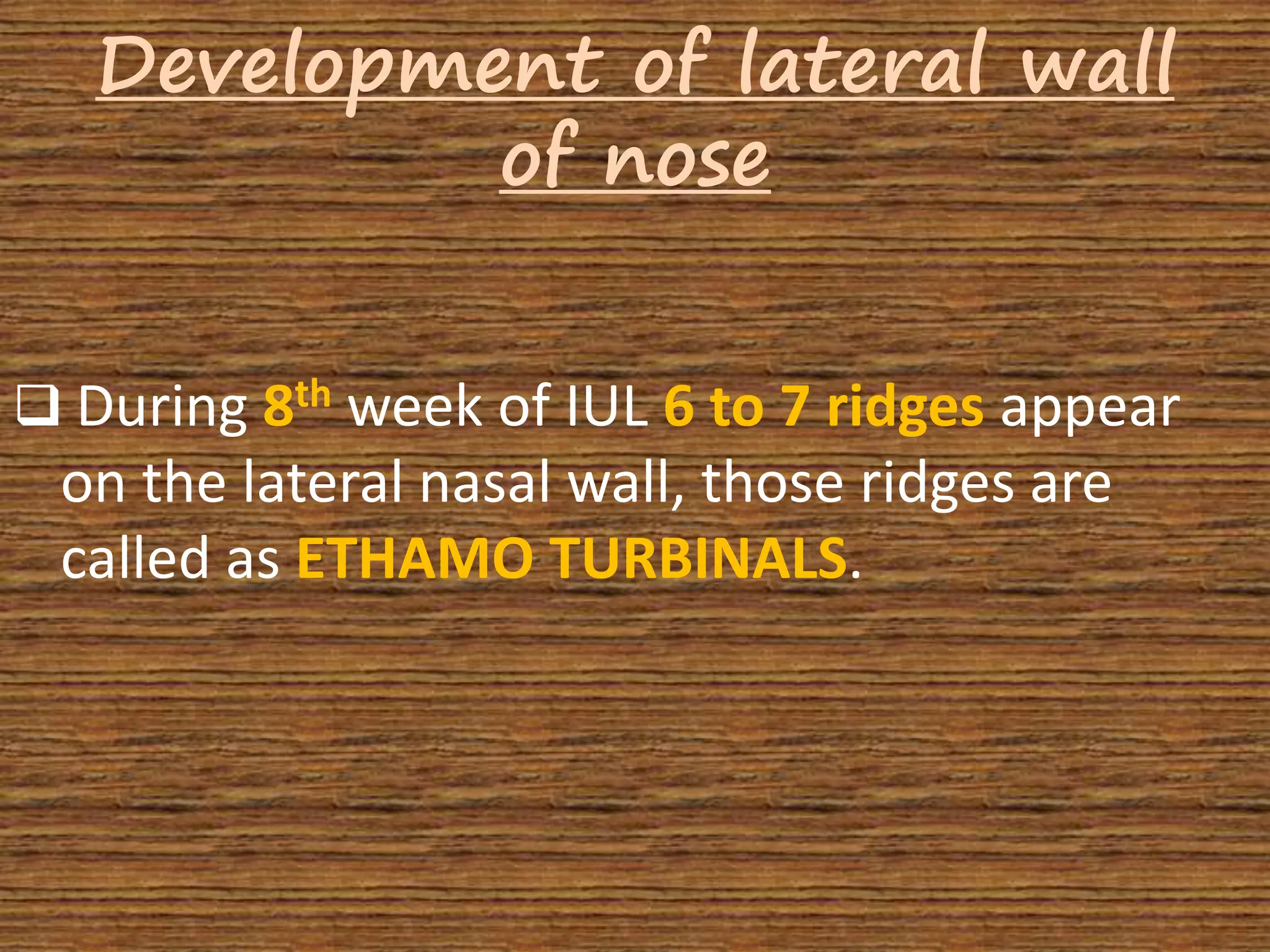 Development of nose by av sharma | PPTX