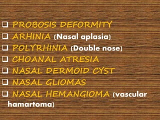 Development of nose by av sharma | PPTX