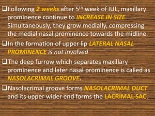 Development of nose by av sharma | PPTX