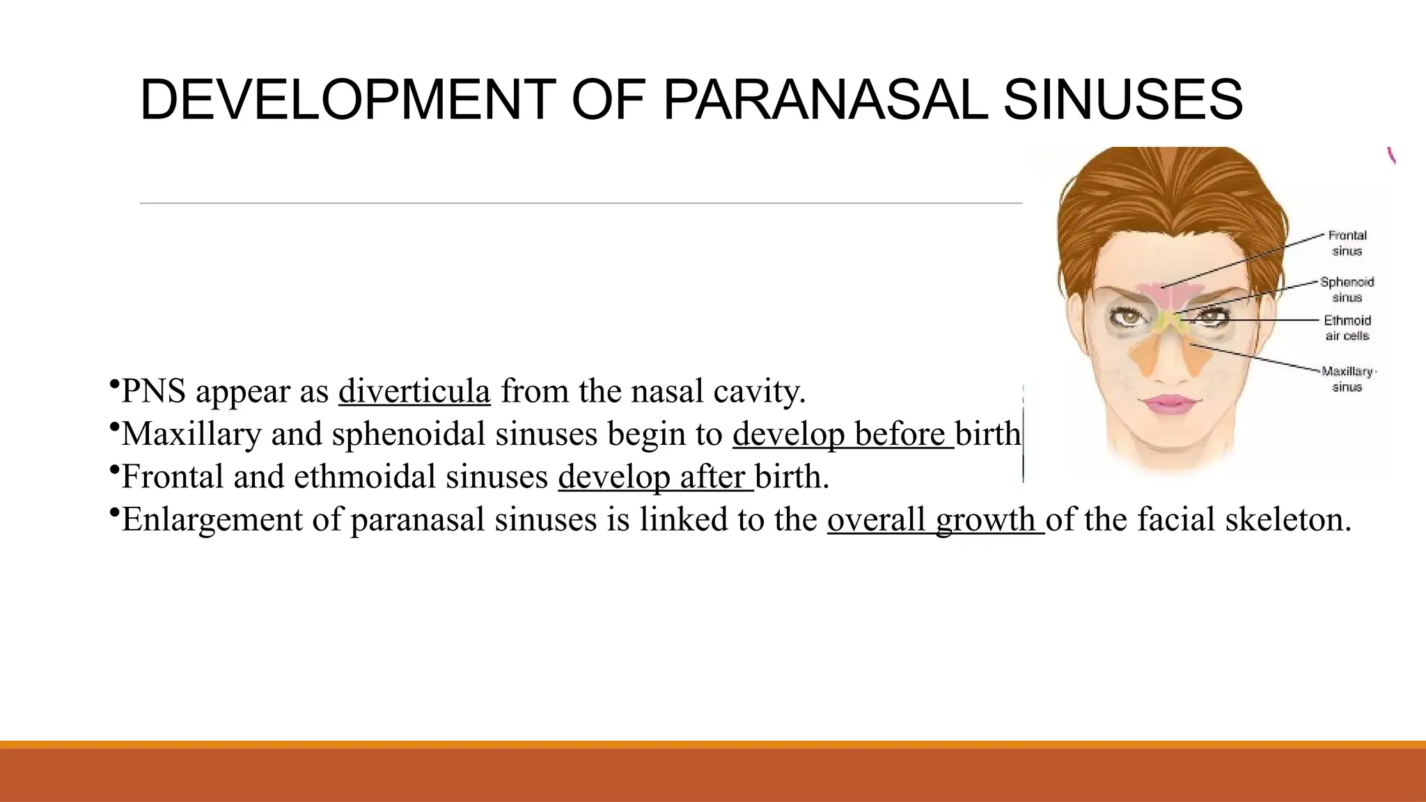 DEVELOPMENT OF NOSE, PARANASAL SINUS, p (1).pptx