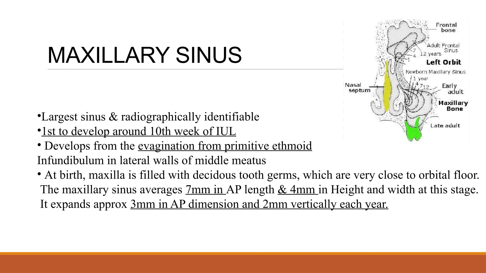 DEVELOPMENT OF NOSE, PARANASAL SINUS, p (1).pptx