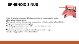 DEVELOPMENT OF NOSE, PARANASAL SINUS, p (1).pptx