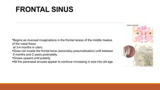 DEVELOPMENT OF NOSE, PARANASAL SINUS, p (1).pptx