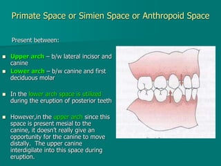 DEVELOPMENT OF OCCLUSION-1.ppt