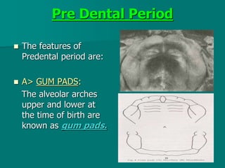 DEVELOPMENT OF OCCLUSION-1.ppt
