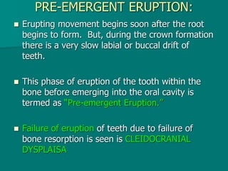 DEVELOPMENT OF OCCLUSION-1.ppt