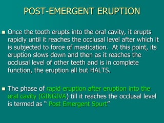 DEVELOPMENT OF OCCLUSION-1.ppt