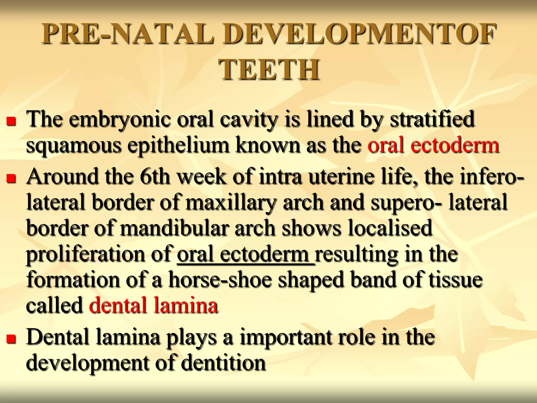 Development of occlusion AND dentition | PPTX