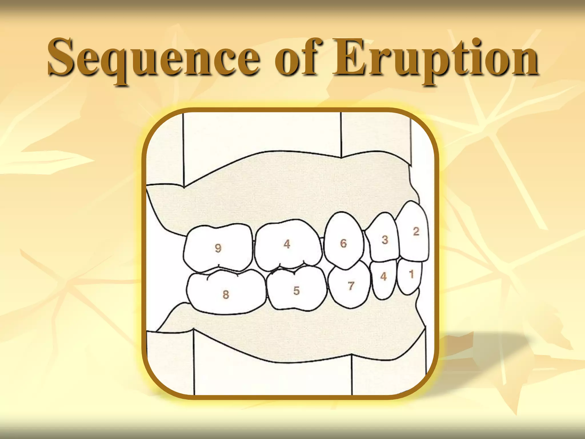 Development of occlusion. | PPTX