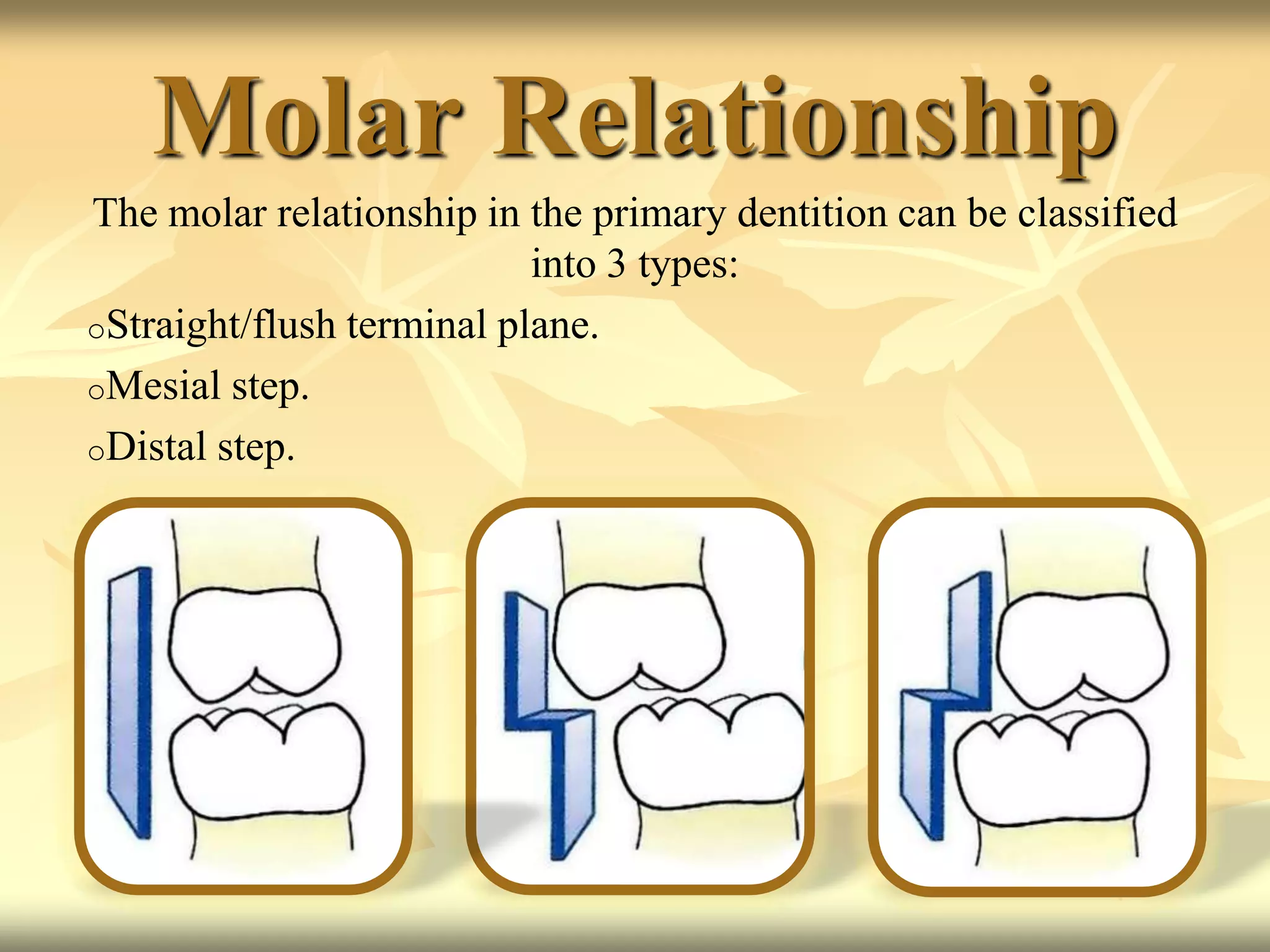 Development of occlusion. | PPTX