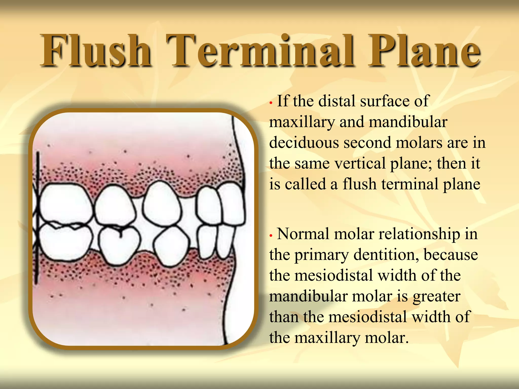 Development of occlusion. | PPTX