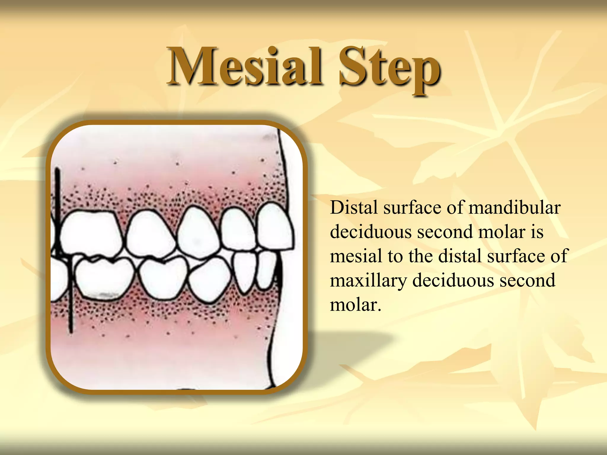 Development of occlusion. | PPTX