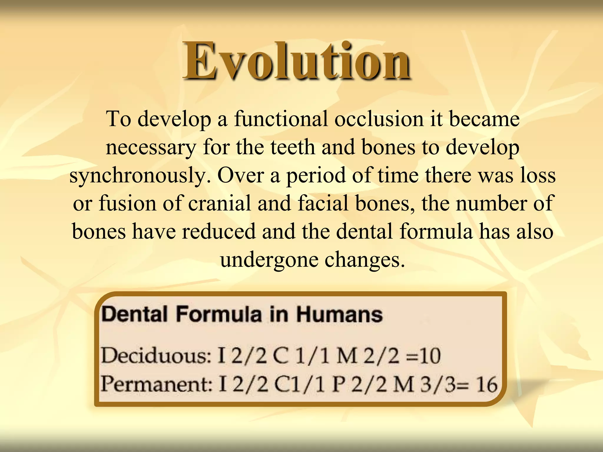 Development of occlusion. | PPTX