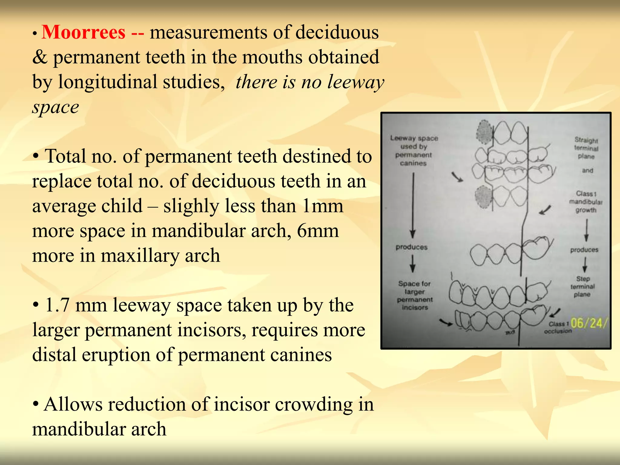 Development of occlusion. | PPTX