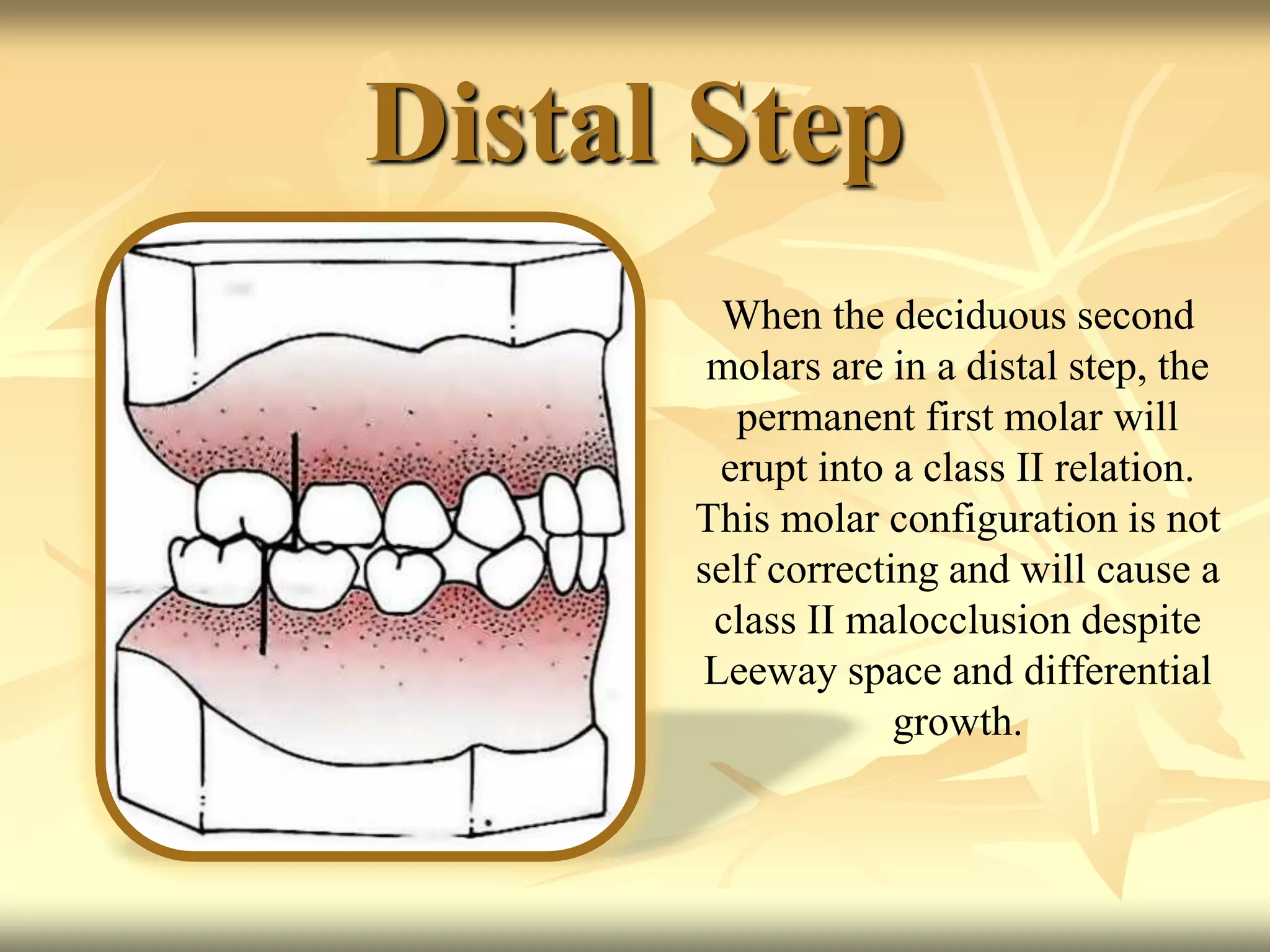 Development of occlusion. | PPTX
