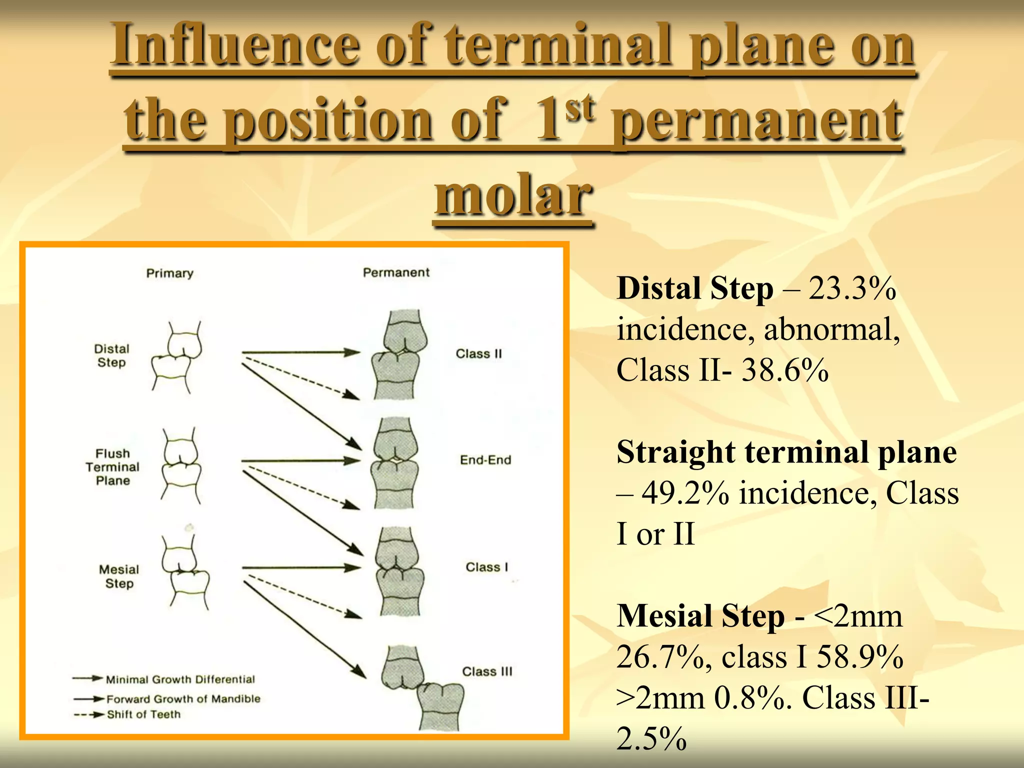 Development of occlusion. | PPTX