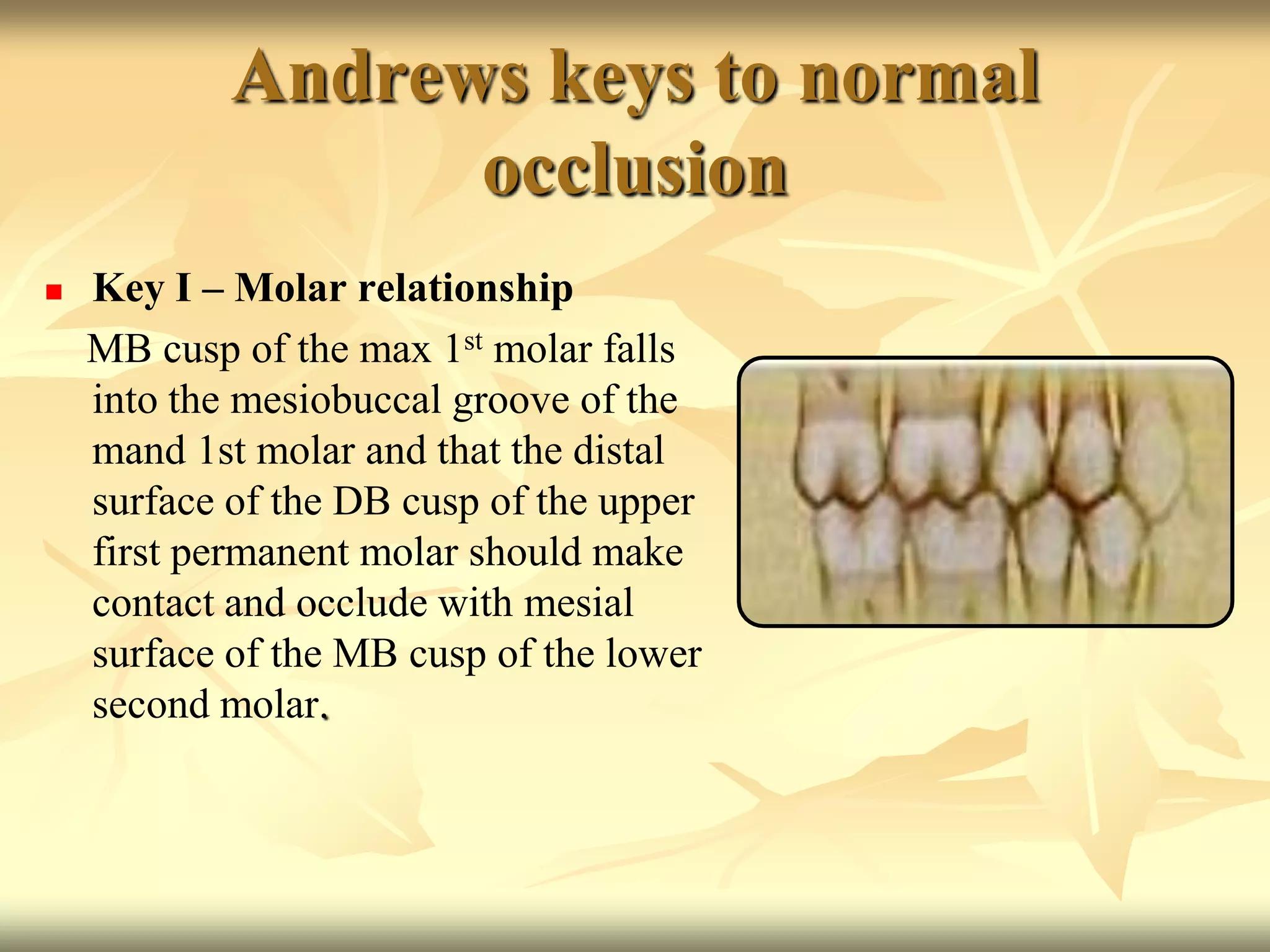 Development of occlusion. | PPTX