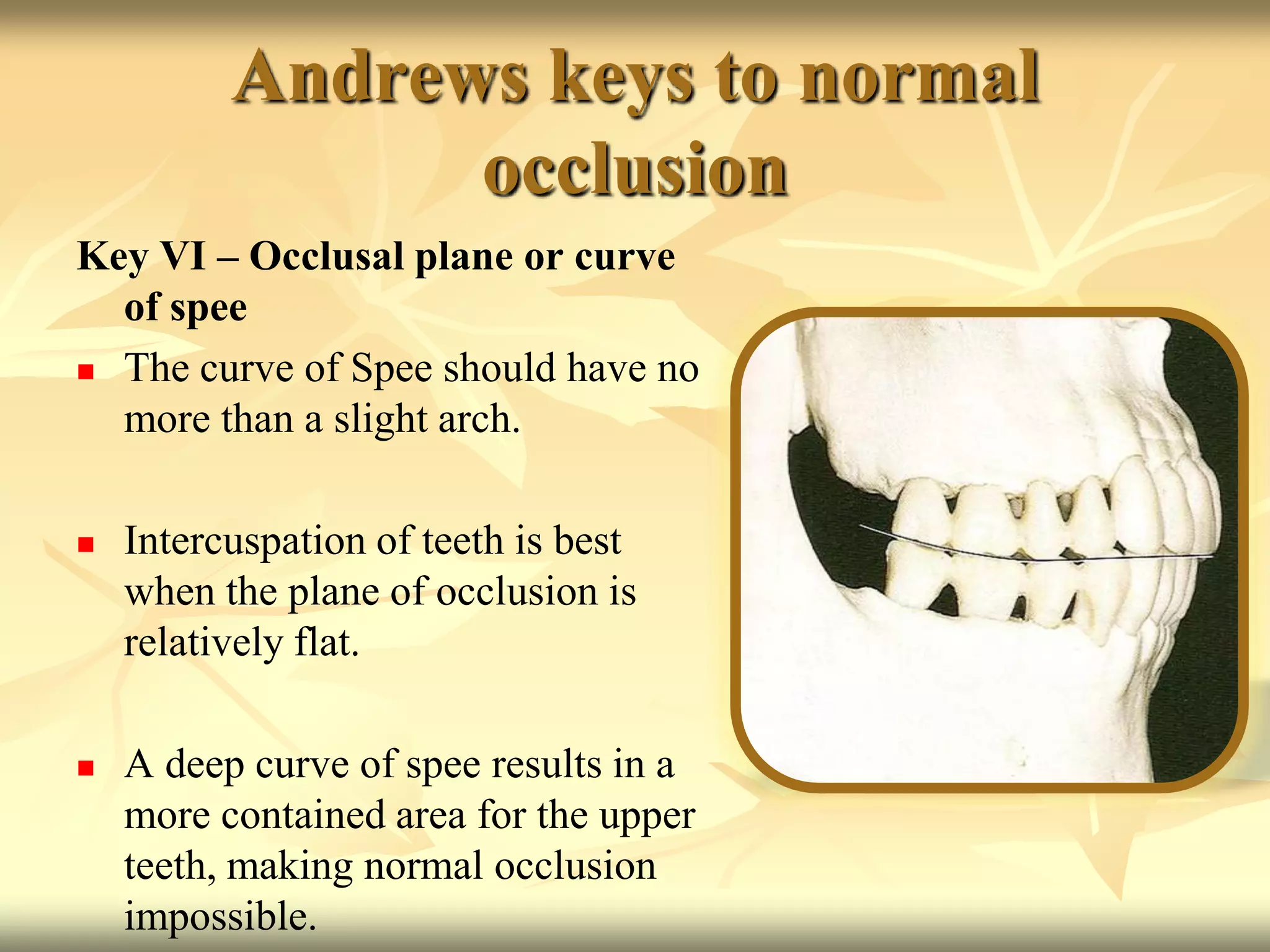 Development of occlusion. | PPTX