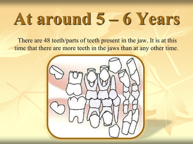 Development of occlusion. | PPTX