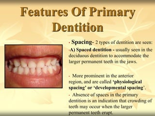Development of occlusion. | PPTX