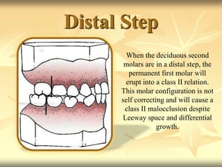 Development of occlusion. | PPTX