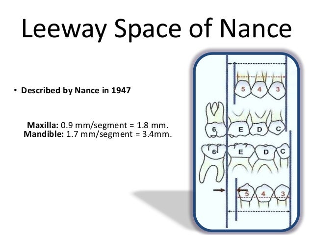 Development of occlusion