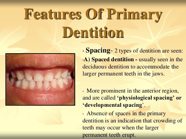 Canine Occlusion Classification