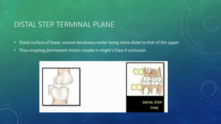 Development of occlusion | PPT