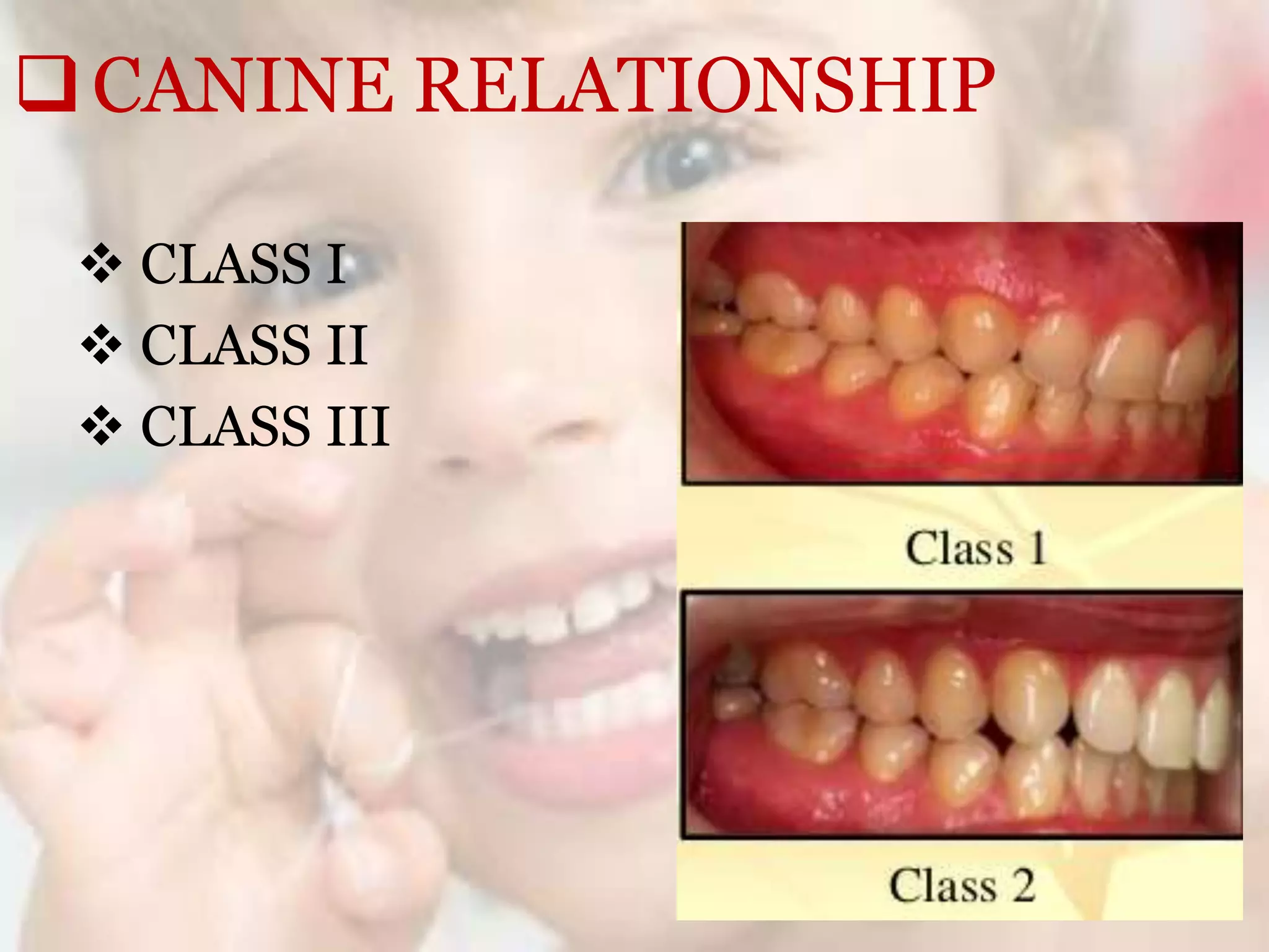 Development of occlusion | PPTX