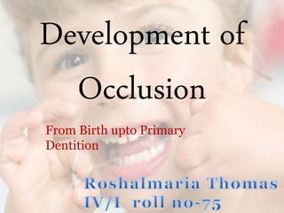 Development of occlusion | PPTX